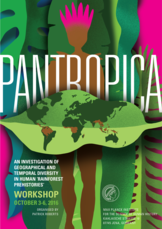 Pantropica | A global rainforest prehistory