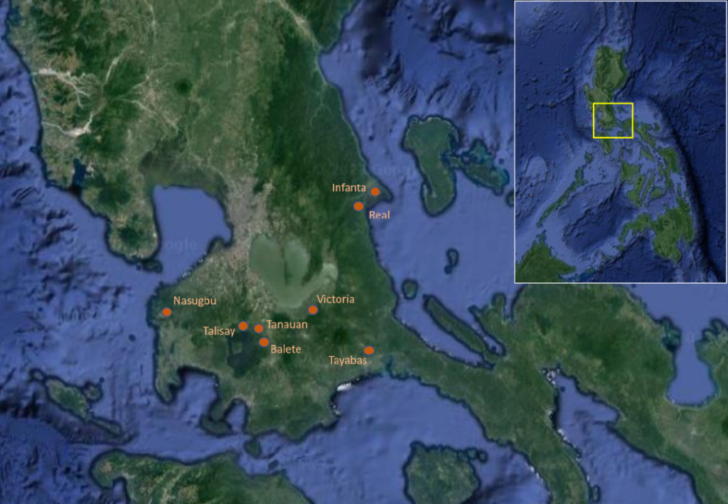 Survey Work in Laguna, Batangas, and Tayabas (Quezon Province), the ...